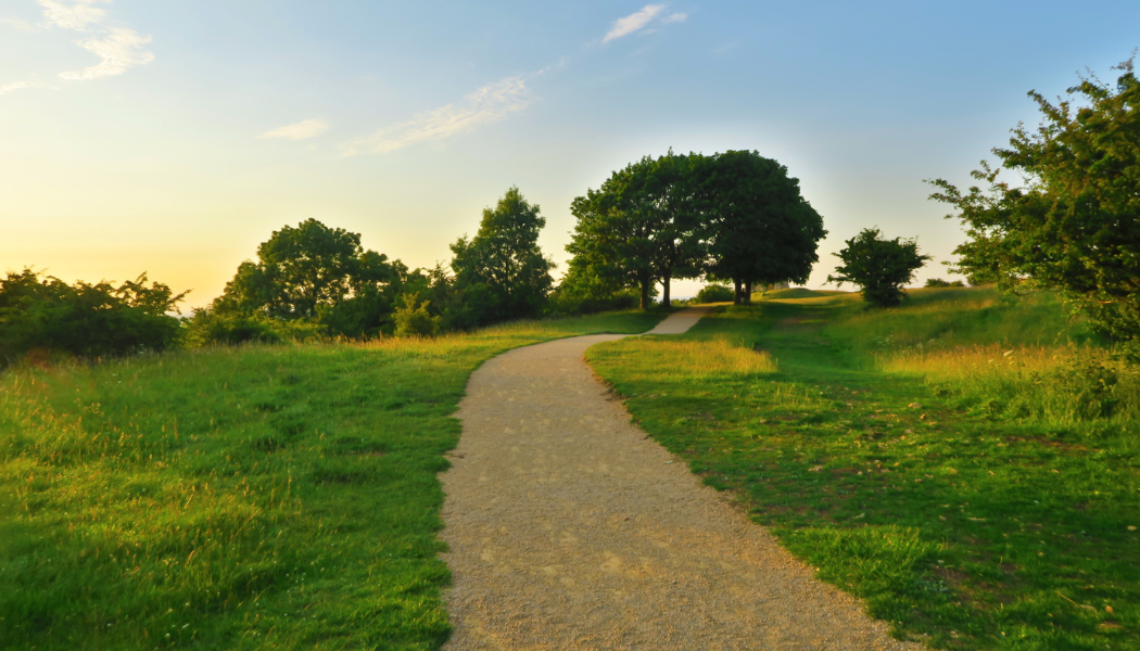 The Simple Pleasure of a Country Walk – The Sweet Reason Company